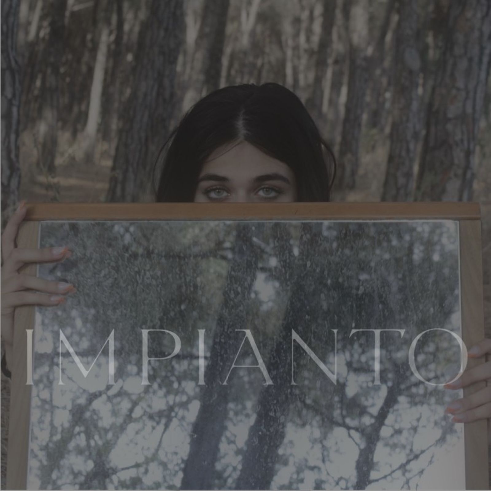 Impianto - LUDO | EarOne