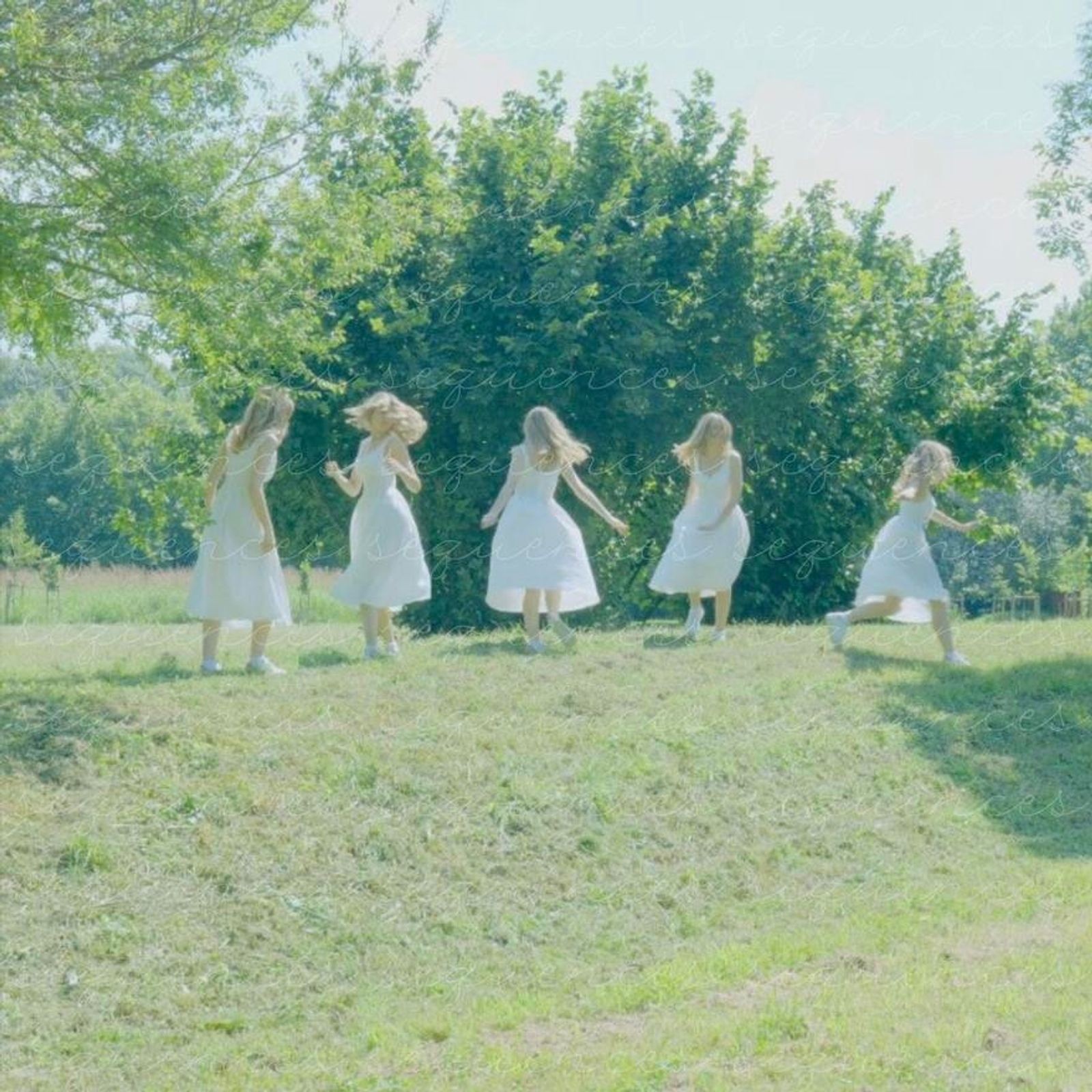 Camilla Dot | Profilo artista nel mondo della musica | EarOne