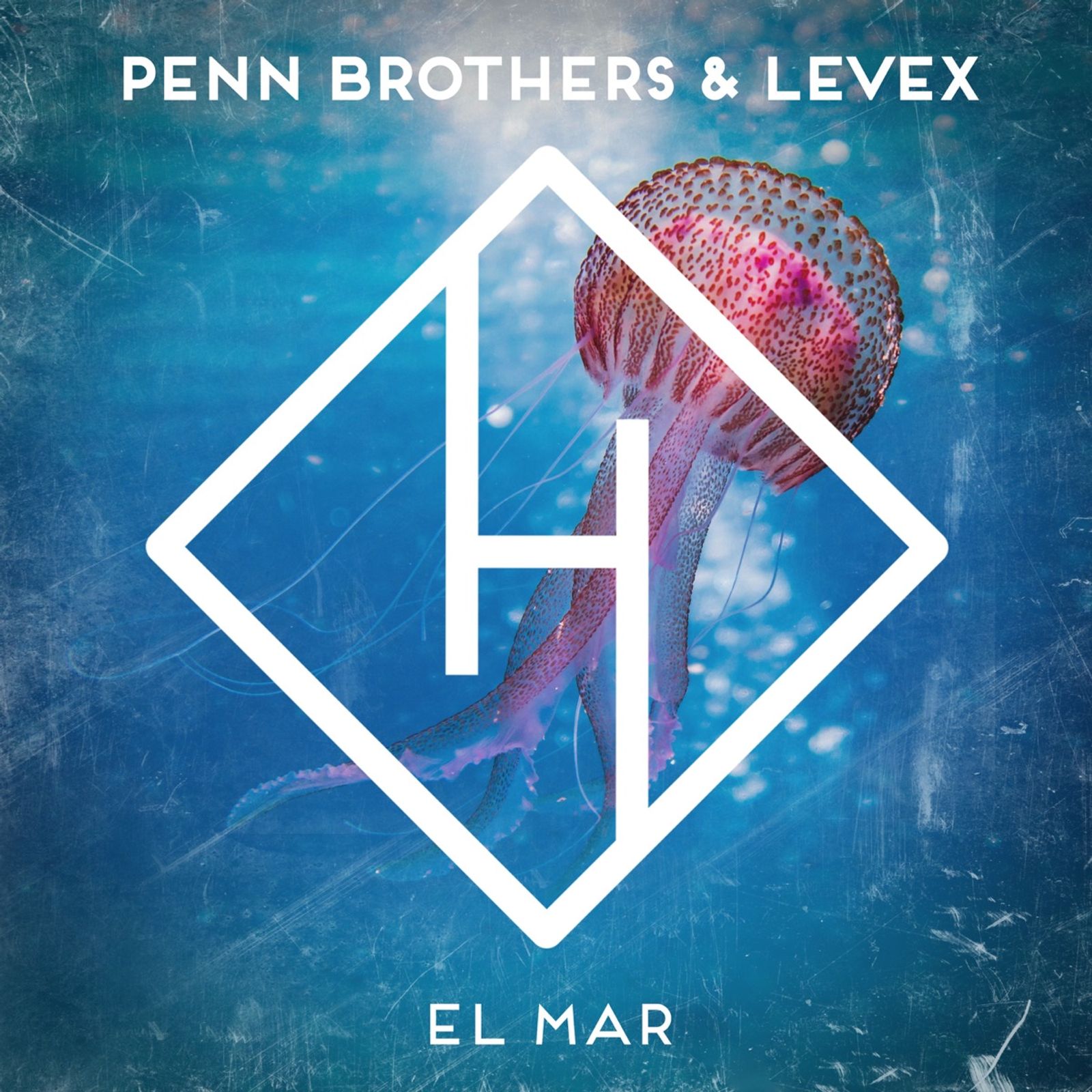 Penn Brothers | EarOne