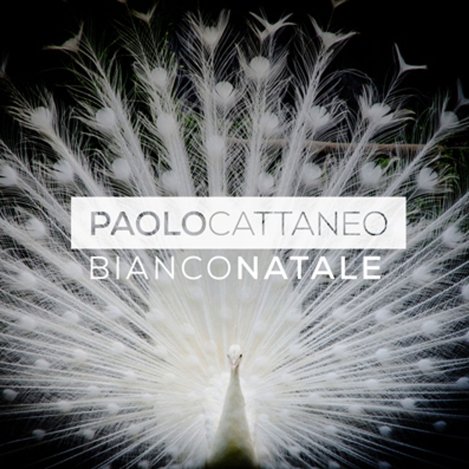 Paolo Cattaneo - Bianco Natale (Radio Date: 16-12-2013) | EarOne